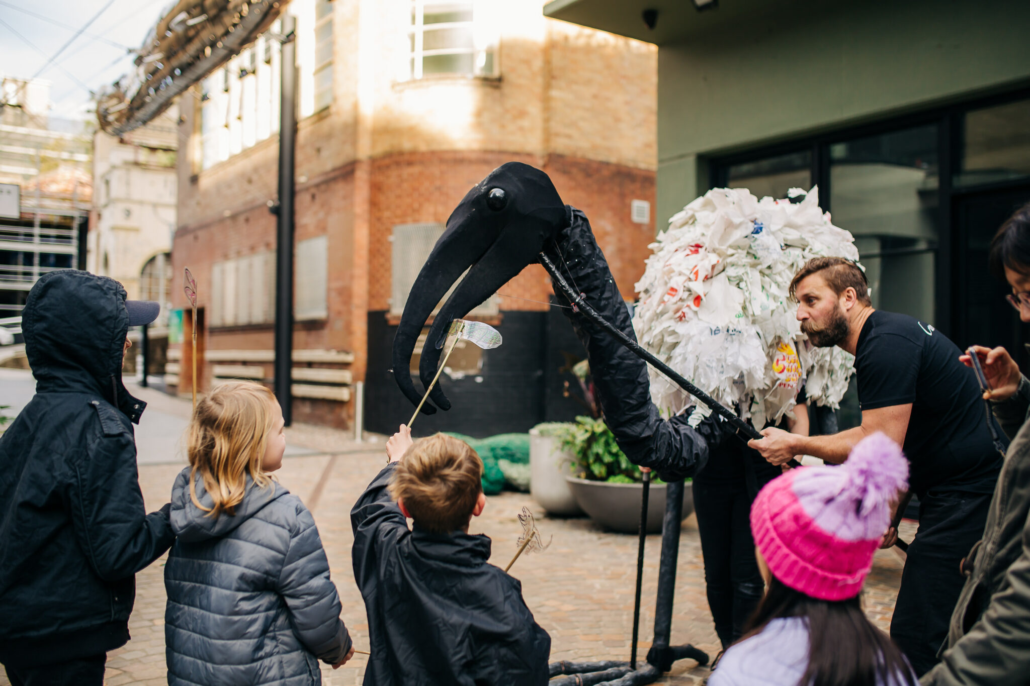 Curious Legends presents Baby Ibis - The Levee Central Maitland