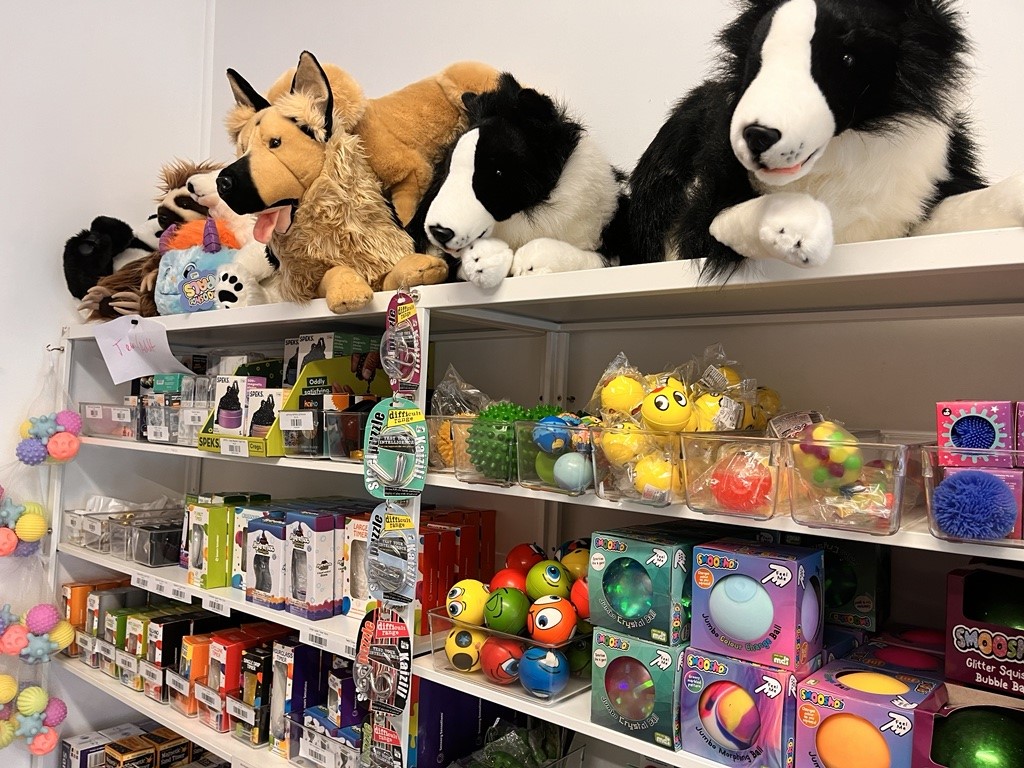 Therapy Sensory Shop - The Levee Central Maitland